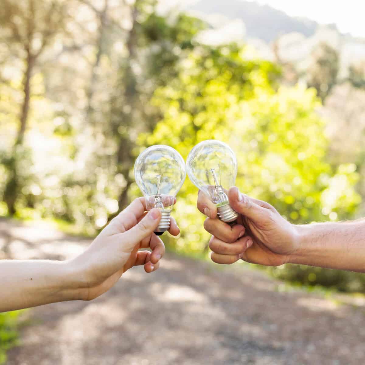 The Importance of Recycling: How It Can Help Create a Sustainable ...