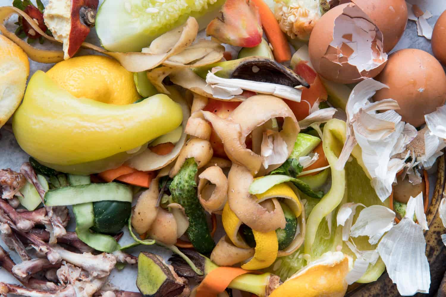 From Trash to Treasure: Innovative Solutions for Food Waste Reduction ...